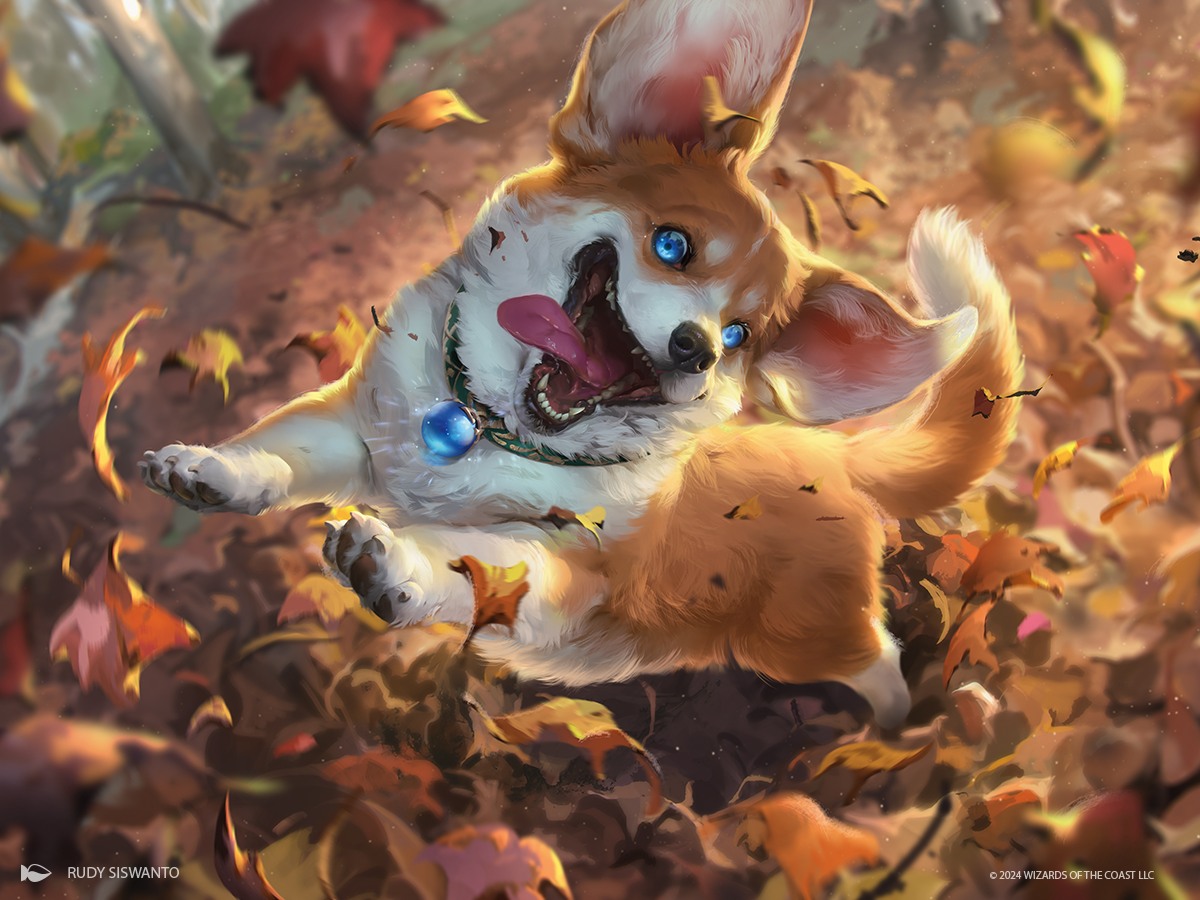 Magic: The Gathering – Owl Central Games